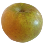 Our Varieties A to Z – Hope Orchards